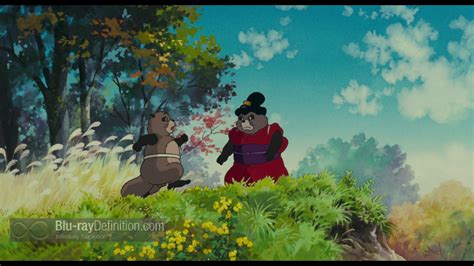 Pom Poko Blu Ray Review Theaterbyte