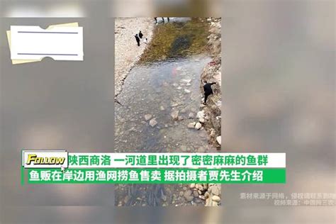 别出心裁！鱼贩将活鱼放在河里售卖，顾客看上哪条捞哪条