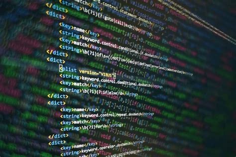 WWW software development. Mobile app developer. Innovative startup ...