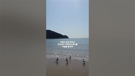 꽃들도 바람도 넓은 바다도 찬양하라 예수를 하늘을 울리며 Youtube