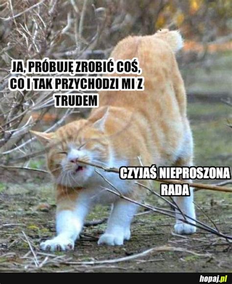 Weź daj mi spokój JA TO WIEM Hopaj pl