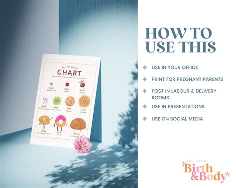 Cervical Dilation Chart Exam Room Poster Birth Education Chart
