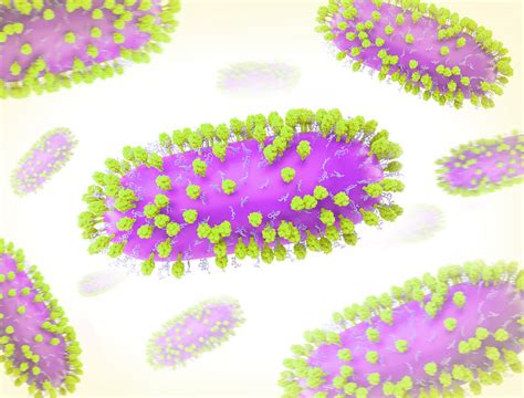 Rsv 单克隆抗体 Nirsevimab 对婴儿的有效性为 83 疫苗网