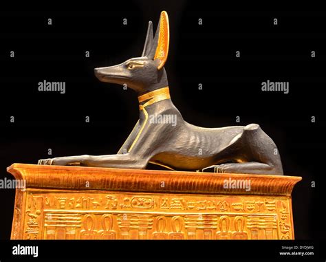 Tutankhamen Tutankhaten Tutankhamon Tutankhamun Tutankhamoun Treasure