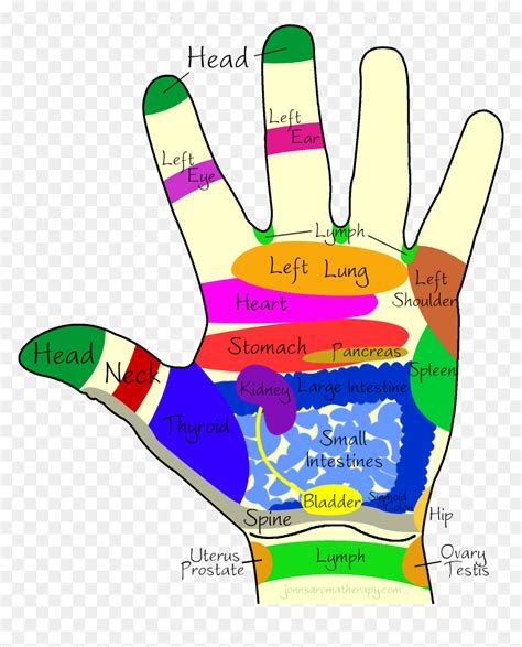 Two Hands Person Orthopedics Massage Logo Icon Vector Clipart