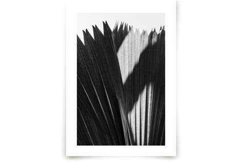 Palmery 2 Fine Art Prints By Catherine Culvenor Minted