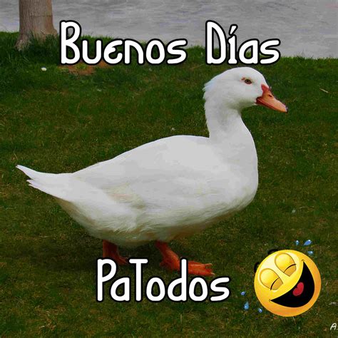 Memes De Buenos Días Chistosos 15 Imágenes Buenos Días