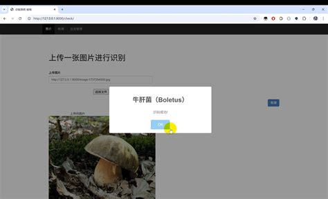 基于python深度学习的【蘑菇识别】系统~卷积神经网络tensorflow图像识别人工智能 知乎