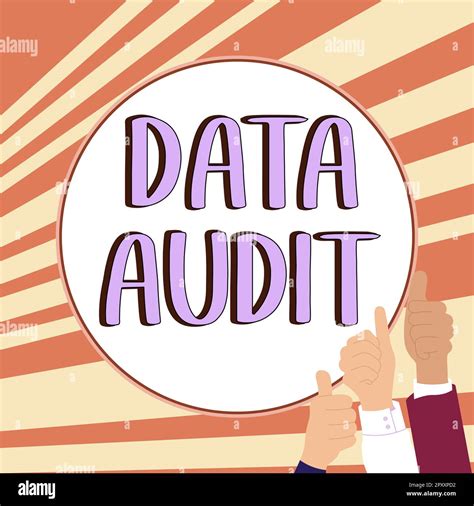 Text Showing Inspiration Data Audit Business Concept Auditing Of Data To Assess Its Quality For