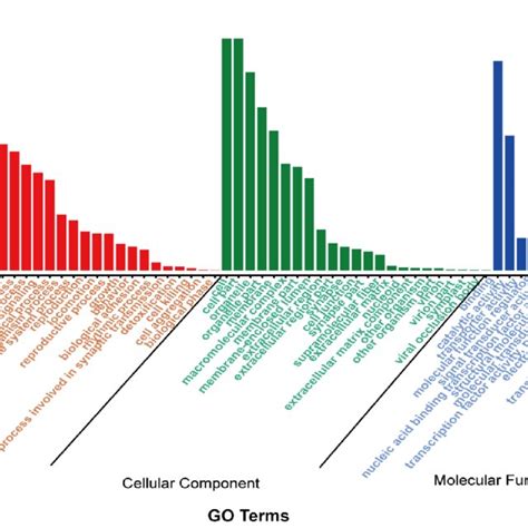 Distribution Of Go Terms For All Annotated Transcripts In Biological