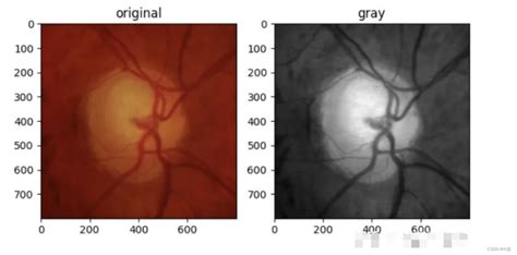 Pytorch 图像增强的几个方法pytorch 泊松噪音 Csdn博客