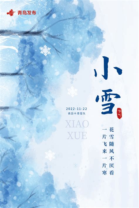 今日小雪 青岛人 大白菜 胶州