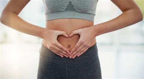 Anatomi Sistem Pencernaan Dan Fungsi Masing Masing Bagiannya Honestdocs