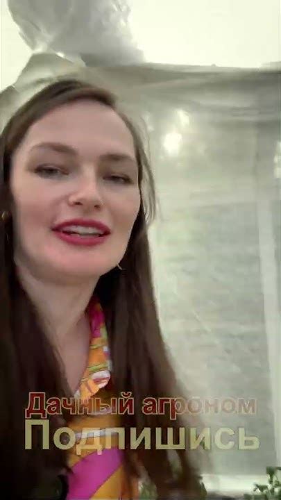 Теплица моя страсть Youtube