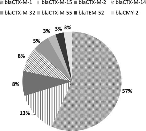 Prevalence And Risk Factors For Extended Spectrum β Lactamase And Ampc Producing Escherichia