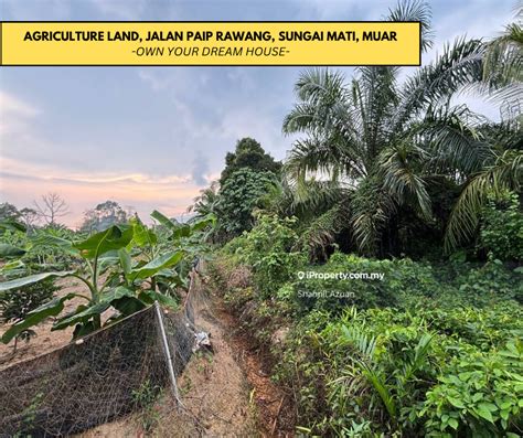 Agriculture Land Jalan Paip Rawang Sungai Mati Muar Muar