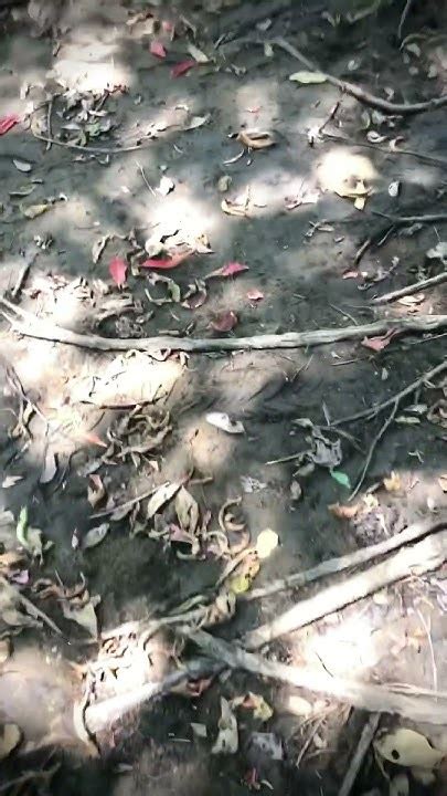 දැන් ඉන්න පොඩි උන්☹️ අදුරන මල්ලි කෙනෙක් හම්බුනා😅😅 Youtube