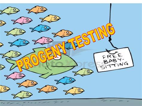 Genetic Selection And Hybridization Kashmeera Ppt