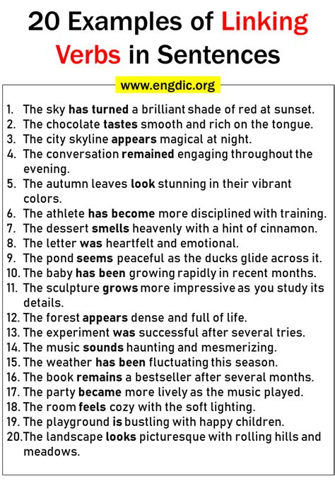 20 Examples Of Linking Verbs In Sentences Engdic