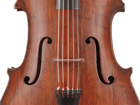 How Many Strings Does A Cello Have Ted S List