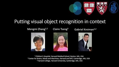 Putting Object Visual Recognition In Context YouTube