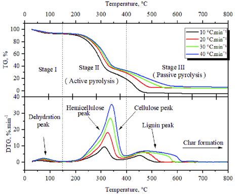 Thermogravimetric Tg And Derivative Of Thermogravimetric Dtg Curve Download Scientific