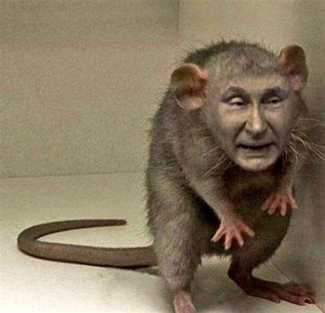 Пин на доске Мои сохраненные материалы