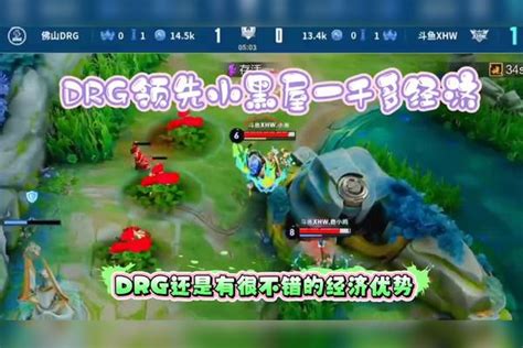 李知恩未能通过鹏鹏质检！drg晋级挑杯八强：百兽猛如虎