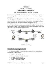 Tdc Lab Assignment Pdf Tdc Lab Ospf Lab Assignment