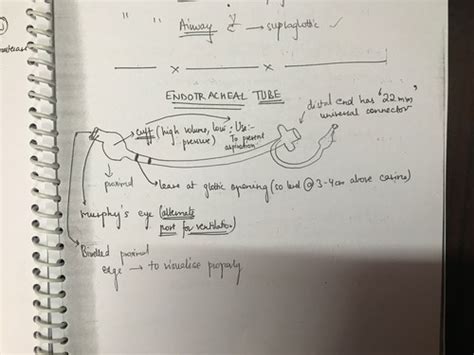 Airway Flashcards Quizlet