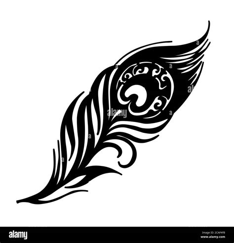 Peacock Feather Vector Set Free Vector Cdr Download 3
