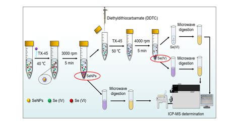 Speciation Analysis Of Selenium Nanoparticles And Inorganic Selenium Species By Dual Cloud Point