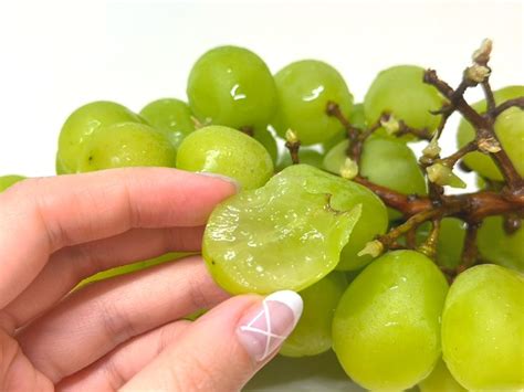 당도 높은 과일 추천 비타민연구소 샤인머스켓 추천 ️ 네이버 블로그