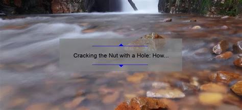 Cracking The Nut With A Hole How To Easily Remove The Shell Expert