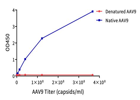 恺佧生物科技（上海）有限公司 基因治疗解决方案