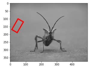 How To Draw Rectangles In Matplotlib With Examples