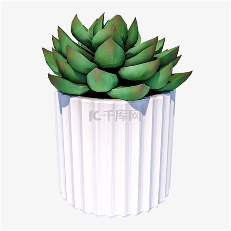 多肉植物素材图片免费下载 千库网