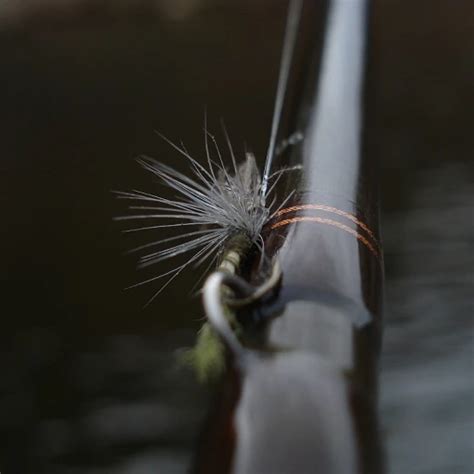 Do Fish Have Sex Fishing Magazine