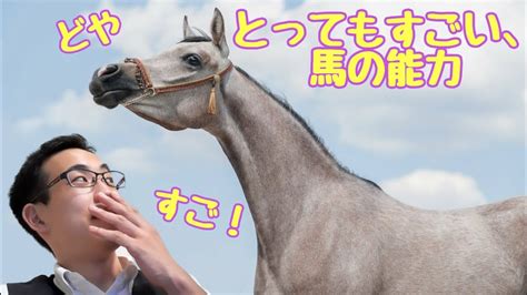 〔競馬・乗馬〕最高速度にジャンプ力、持久力まで、馬の能力を解説！ Youtube