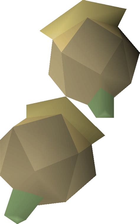 File Celastrus Seed 2 Detail Png Osrs Wiki