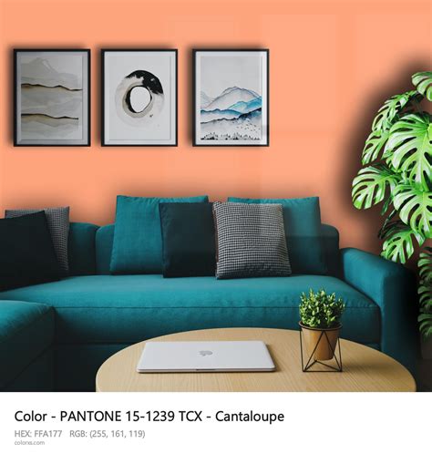 About Pantone 15 1239 Tcx Cantaloupe Color Color Codes Similar