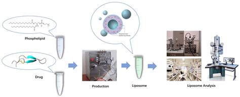 Liposome Platform Creative Biostructure
