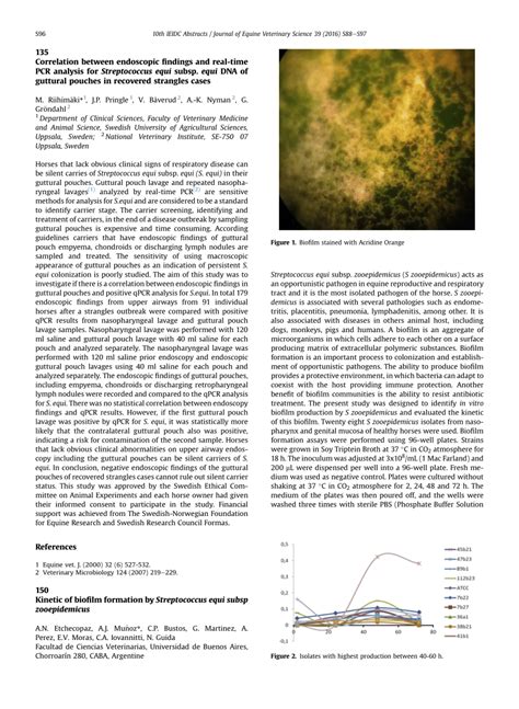 Pdf Correlation Between Endoscopic Findings And Real Time Pcr Analysis For Streptococcus Equi