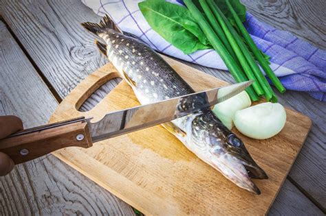 양파와 절단 보드에 녹색 꼼 하 장 신선한 어 생선 요리에 대 한 준비 구이에 대한 스톡 사진 및 기타 이미지 구이 그릇