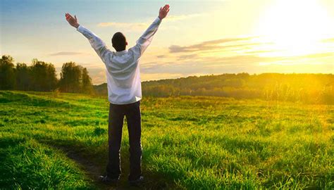 What Does Milk Thistle Do Natural Health Blog Omnibiotics