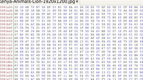 161001644 Understanding Intermediate Layers Using Linear Classifier Probes