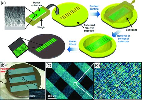 contact printing of nanowires a schematic illustration of the