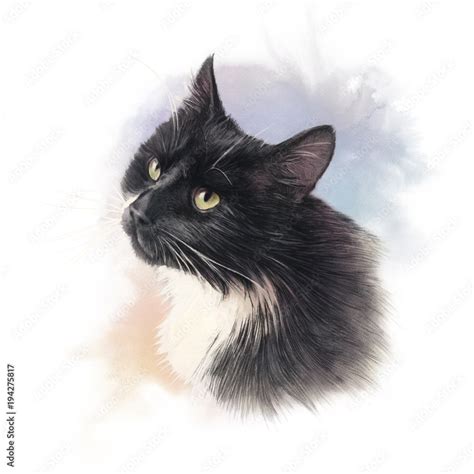 Black Kitten With Green Eyes Drawing