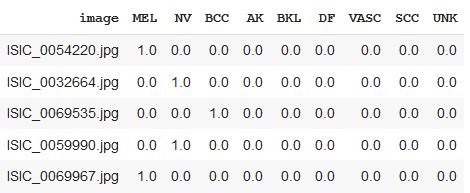 Python Flow From Dataframe Error If Class Mode Categorical Y Col Column Values Must Be