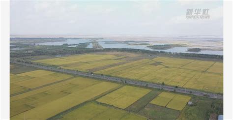 盐碱滩变粮仓——吉林西部正打通“生态文旅走廊”腾讯新闻